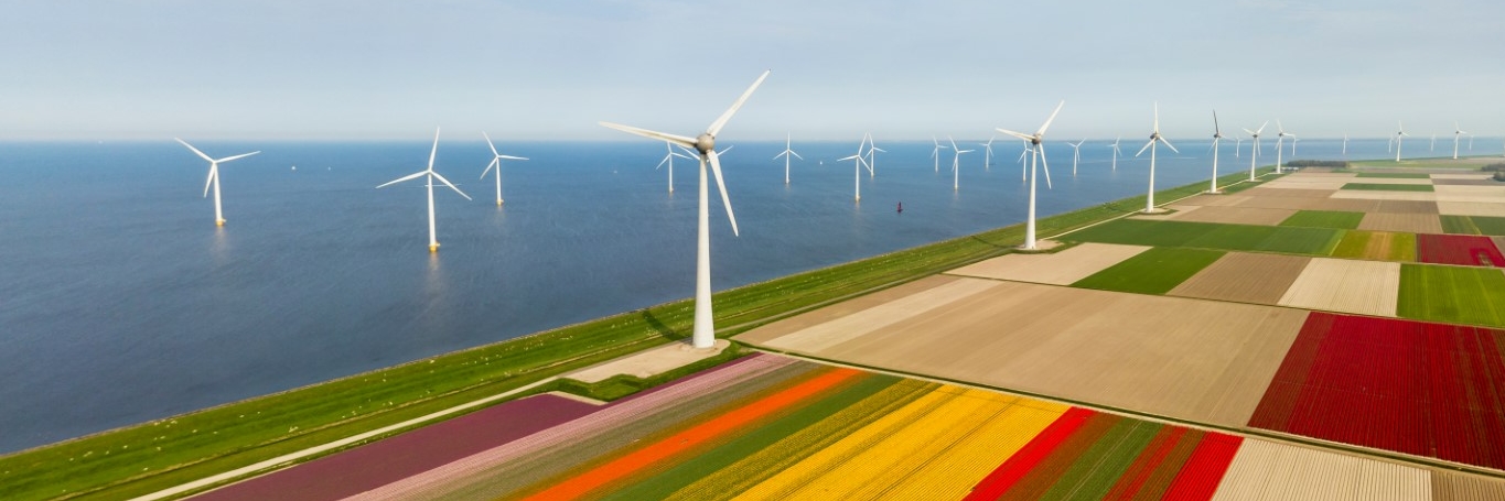 087 - Alle goede dingen ineen | Gebo Tours | Groepsdagtocht met vervoer